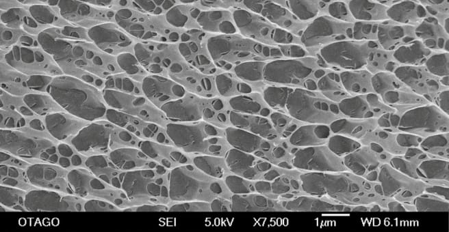 Arthramid® Vet: Long-Lasting Horse & Canine Arthritis Treatment